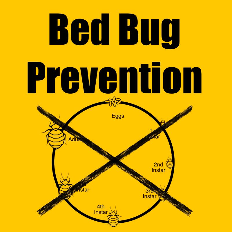 Bed Bug Prevention Four Seasons Pest Solutions